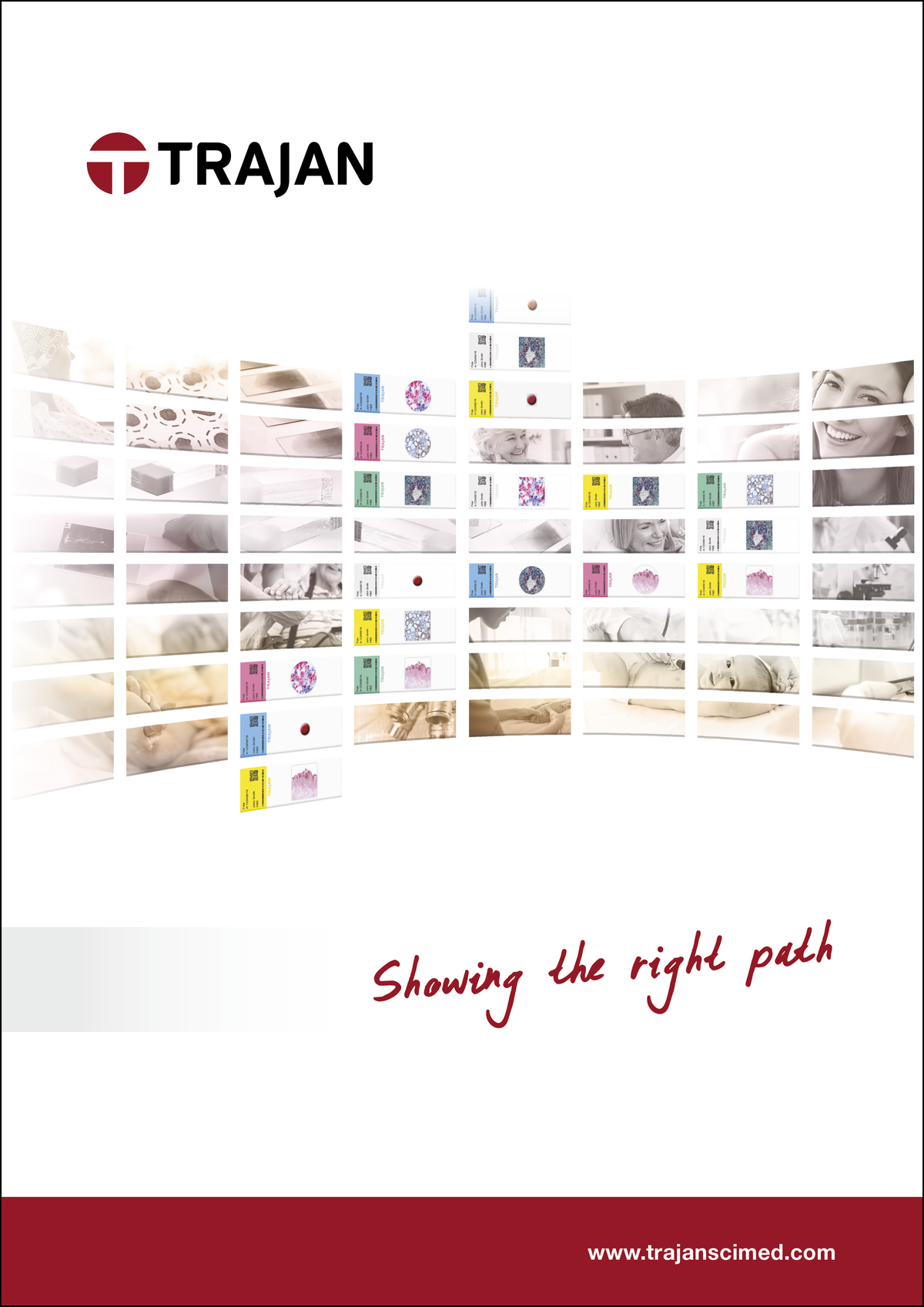 Brochure - Pathology Catalogue